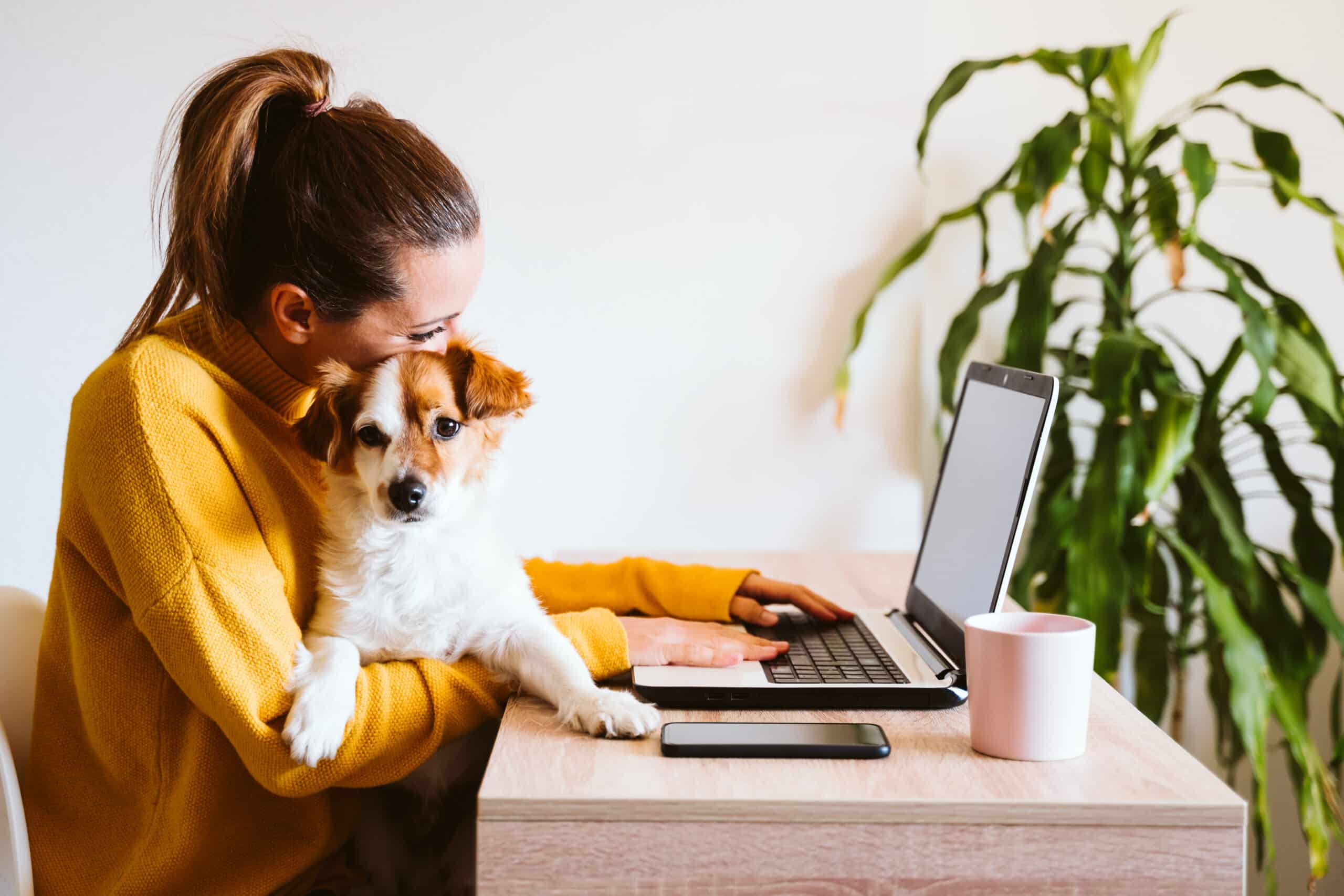 Can Landlords Refuse Pets We Buy Any Home Can Landlords Refuse Pets We Buy Any Home